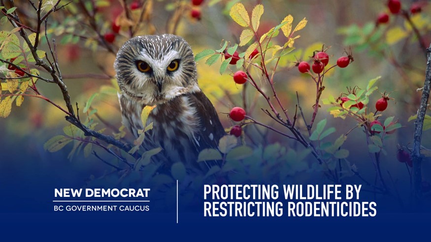 North Vancouver-Seymour MLA Chant says B.C. protecting wildlife by ...